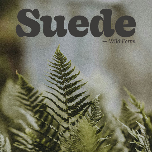 BandLab Beats | Craft Your Next Hit